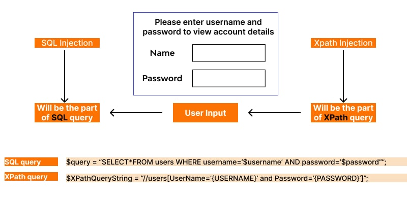 XPath Injection Attack - What is it? How to prevent it? 🛡️ XPath Injection Attack - What is it? How to prevent it? 🛡️